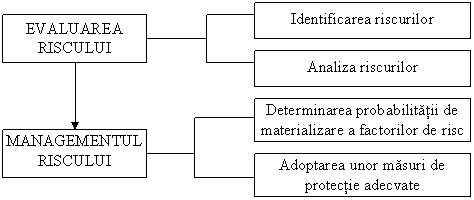 MANAGEMENTUL RISCULUI AGENTULUI ECONOMIC referat