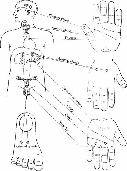 SEMINTOTERAPIA referat